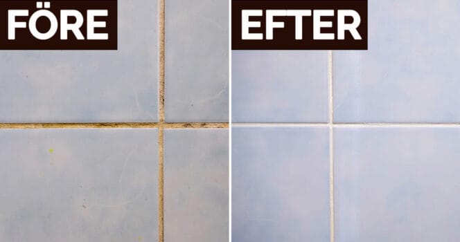 Så får du kakelfogarna skinande rena – med en sak alla har hemma