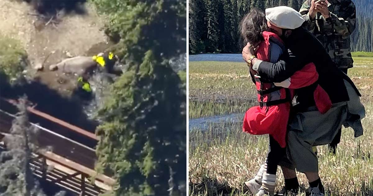 10-åring hittas efter timmars sökande – när familjen får veta vad hon gjort i vildmarken vill de ...