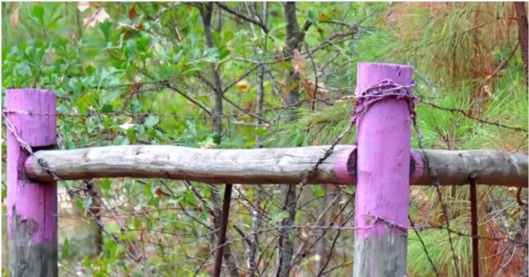 Here's what a purple fence post means – did you know this?