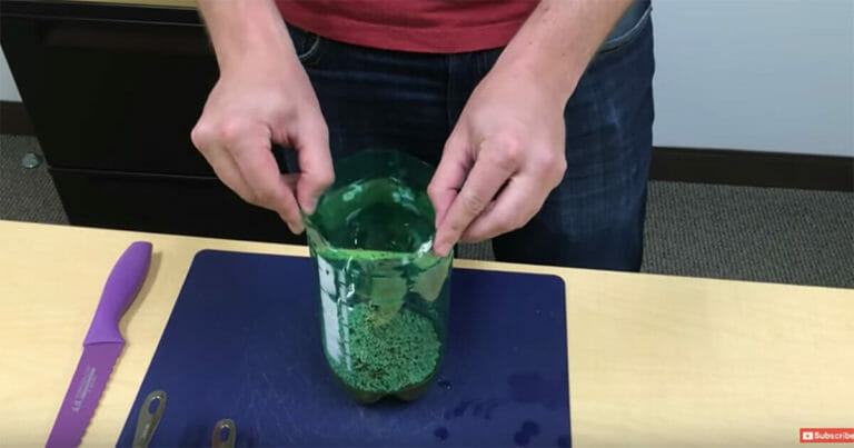 Get rid of mosquitos this summer – discover the brilliant 3-ingredient ...