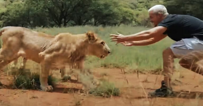 Animal activist reunites with the lions he raised