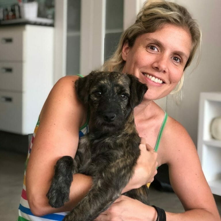 ¡Perro famélico abandonado es salvado por una heroína!